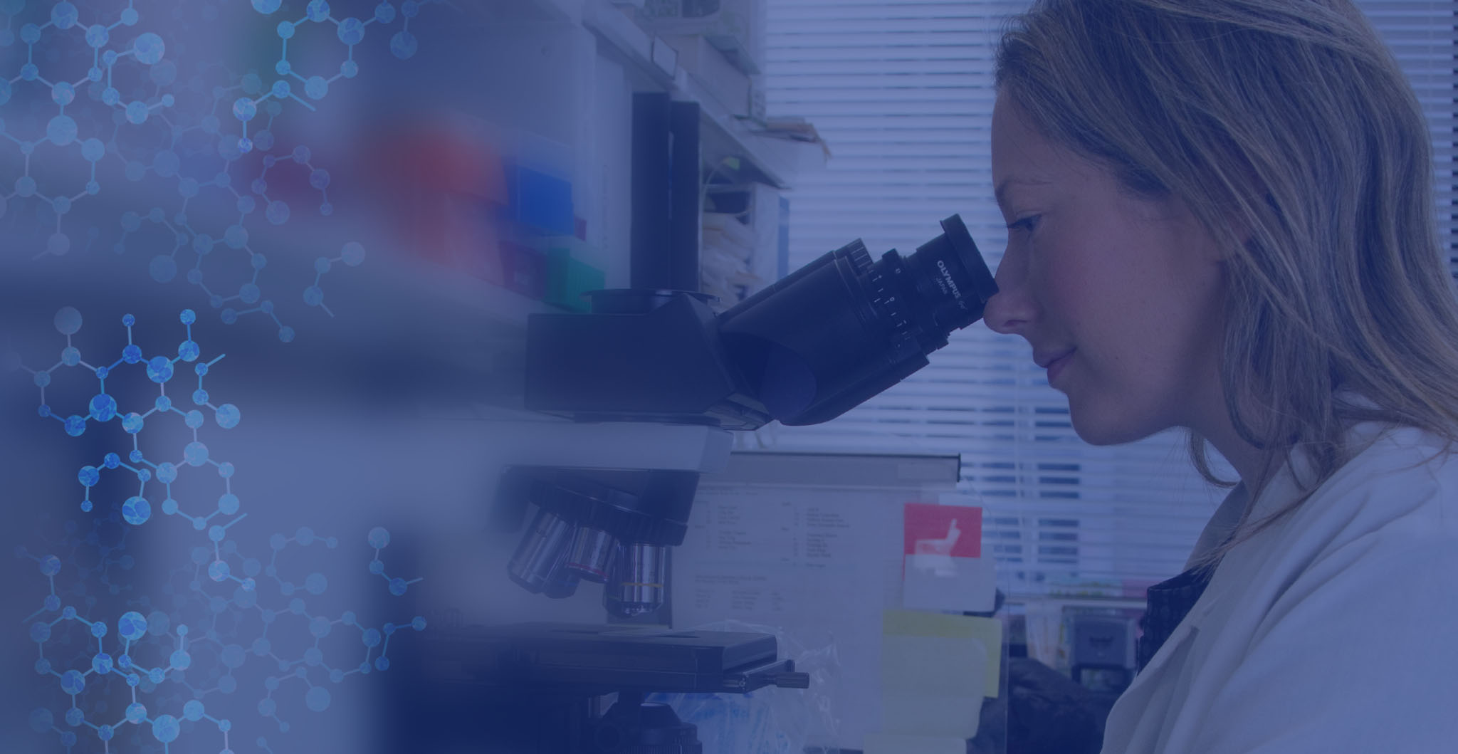 Aging Biology Foundation - Homepage